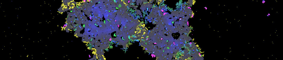 Space Simulation Toolkit