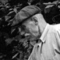 BVOVB - Bruising Vengeance of the Vintage Boxer on Steam